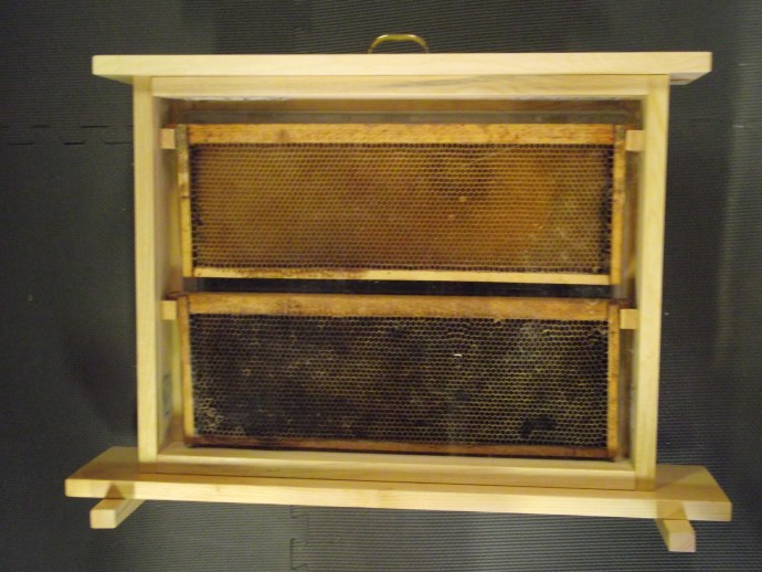 Build a Portable Observation Hive | Bee Culture