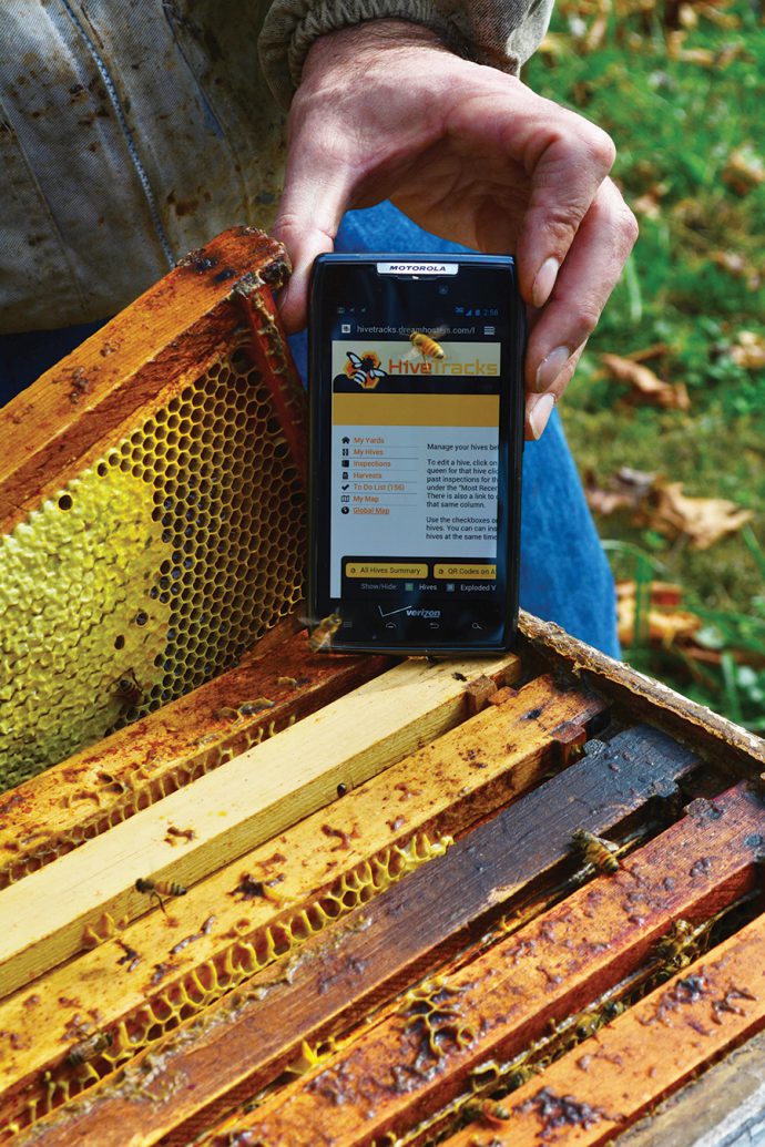 Hive Tracks | Bee Culture