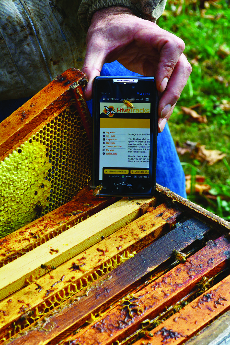 Hive Tracks | Bee Culture