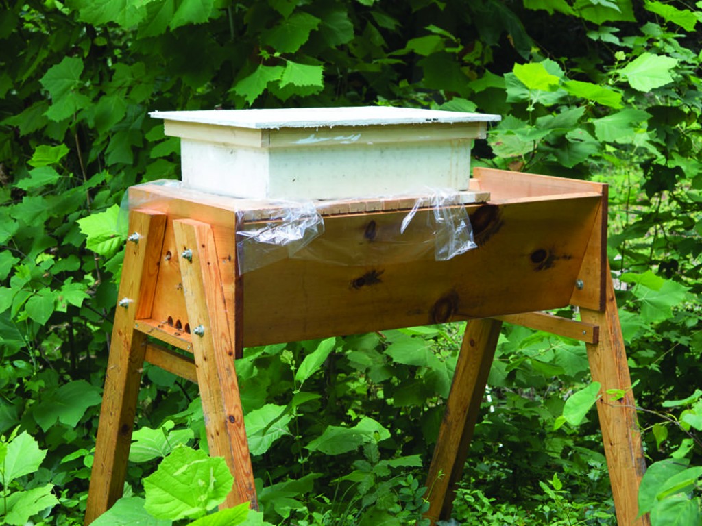 A Simple Hivetop Feeder for Top-Bar Hives | Bee Culture