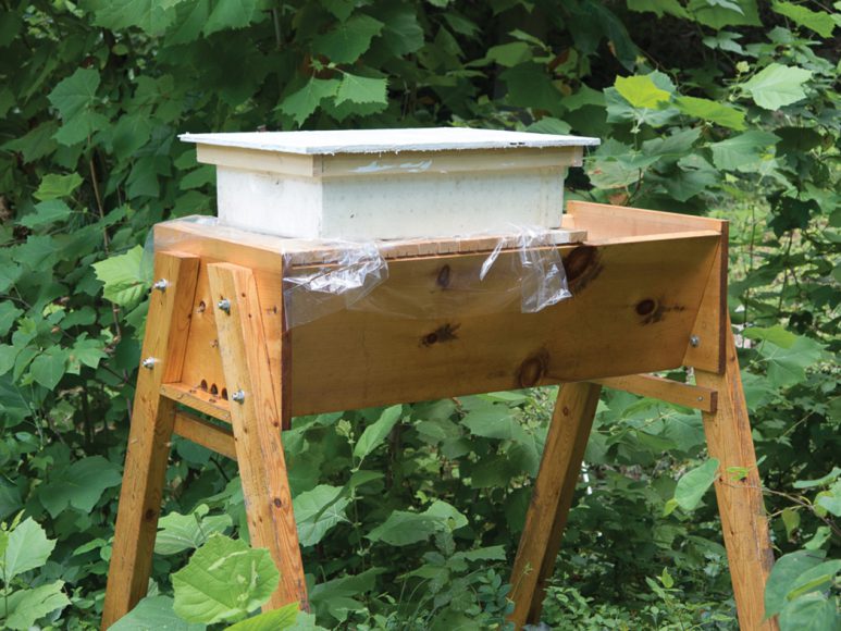 A Simple Hivetop Feeder for Top-Bar Hives | Bee Culture
