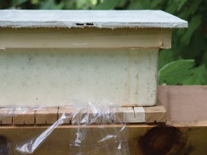 A Simple Hivetop Feeder for Top-Bar Hives | Bee Culture