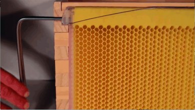 Flow Hive | Bee Culture