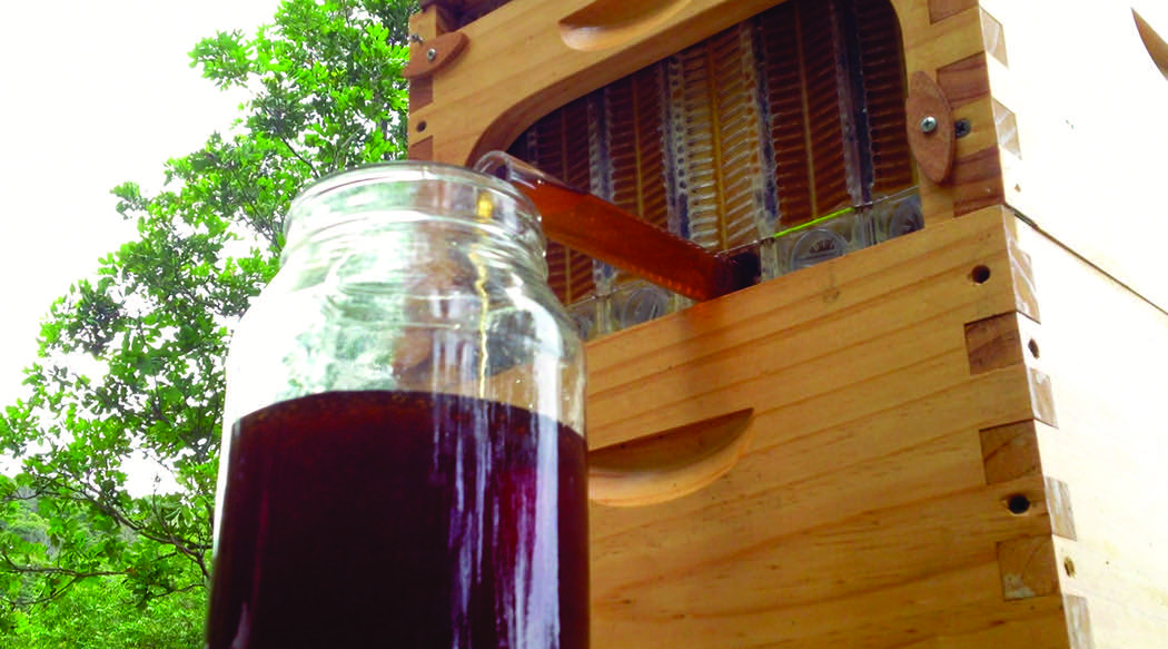 Flow Hive | Bee Culture