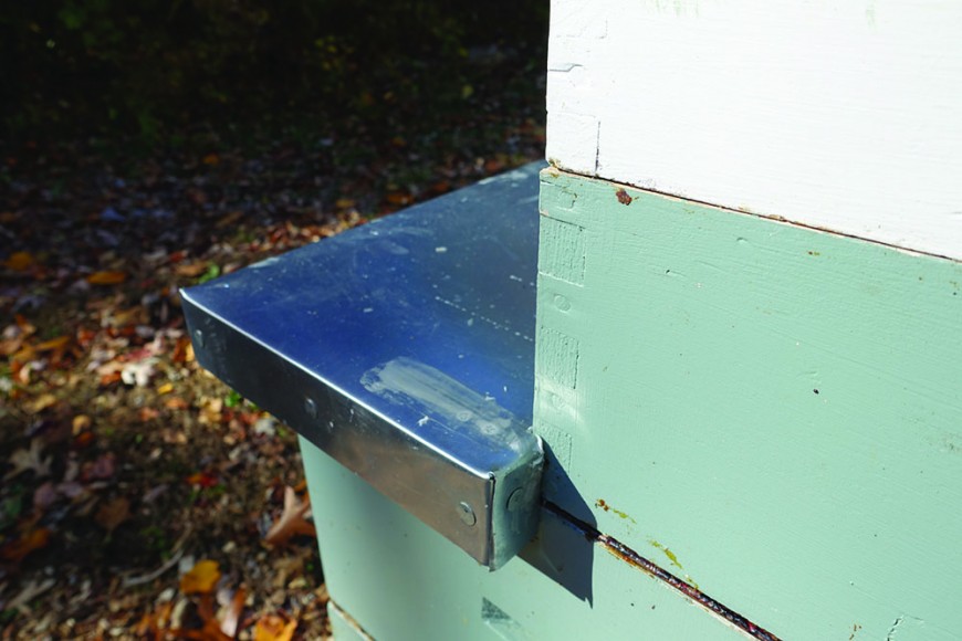 The Horizontal Two-Queen System | Bee Culture