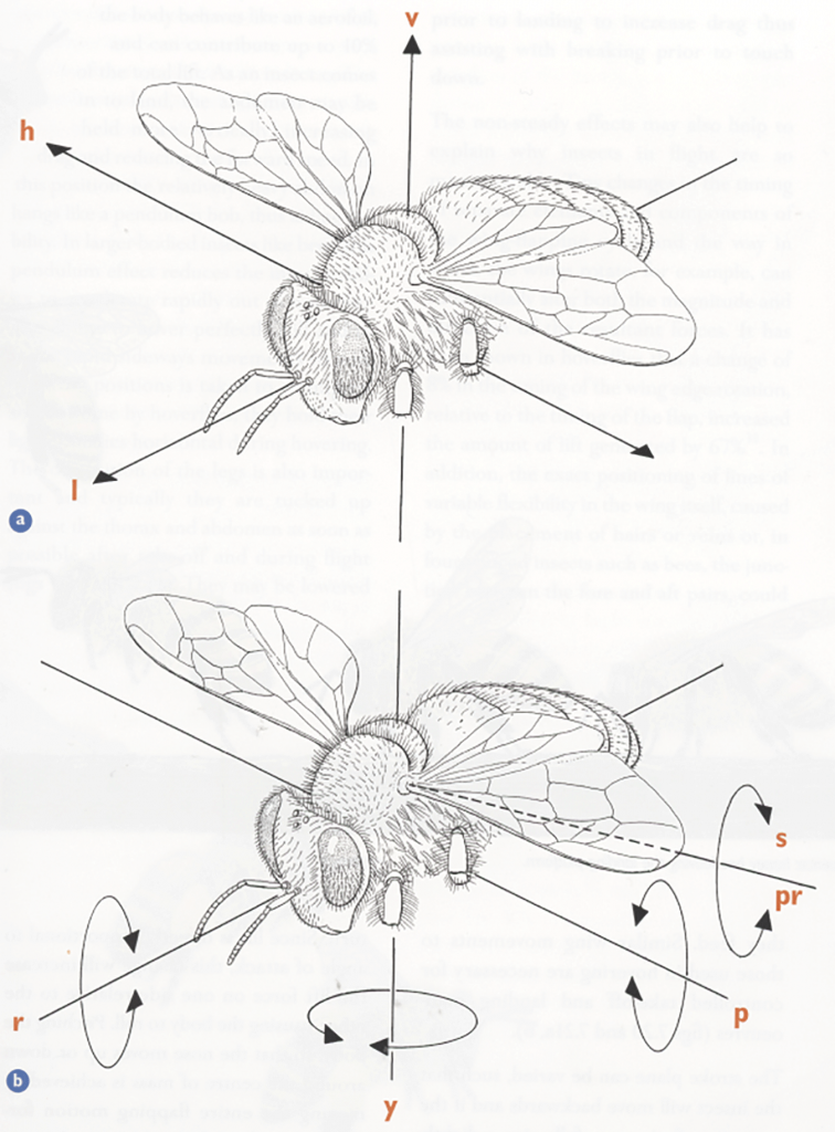 A Closer Look | Bee Culture