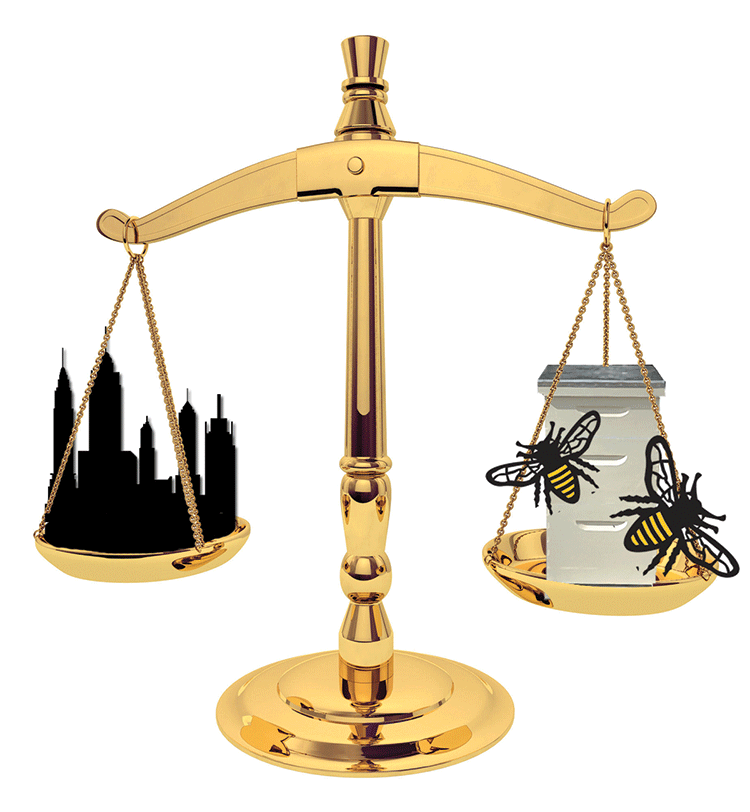 Downtown The Quest For The Model Urban Bee Law | Bee Culture