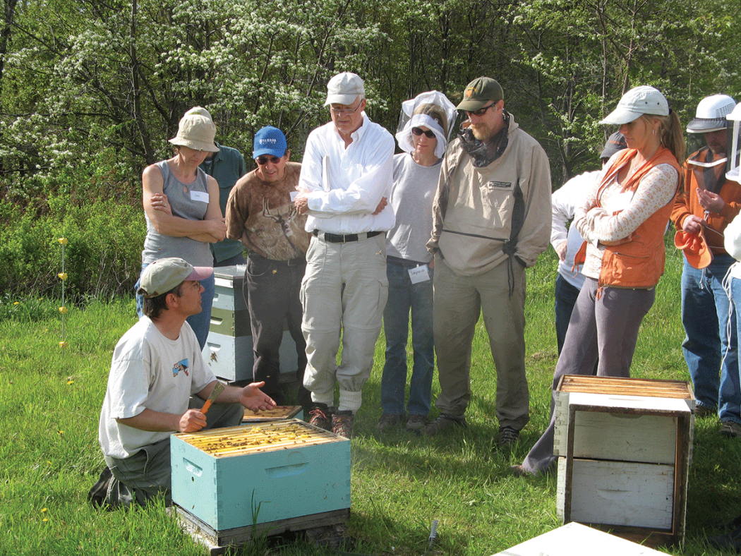 The Successful Beekeeper | Bee Culture