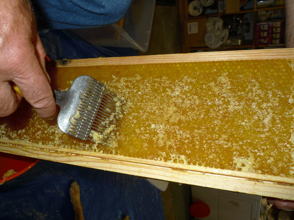The Cappings Scratcher or The Uncapping Fork | Bee Culture
