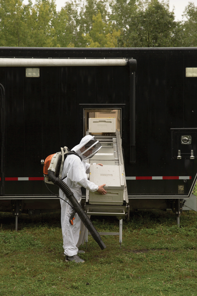 The Trailer | Bee Culture