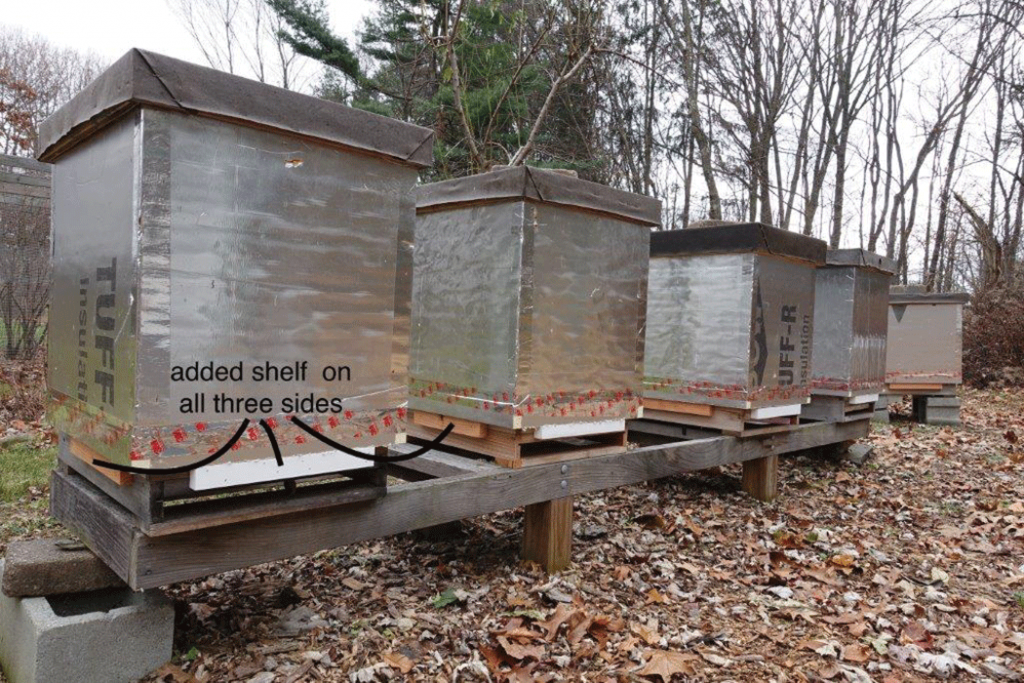 Winter Management | Bee Culture