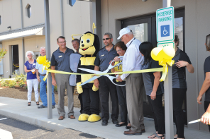 The Kelly Beekeeping Company | Bee Culture