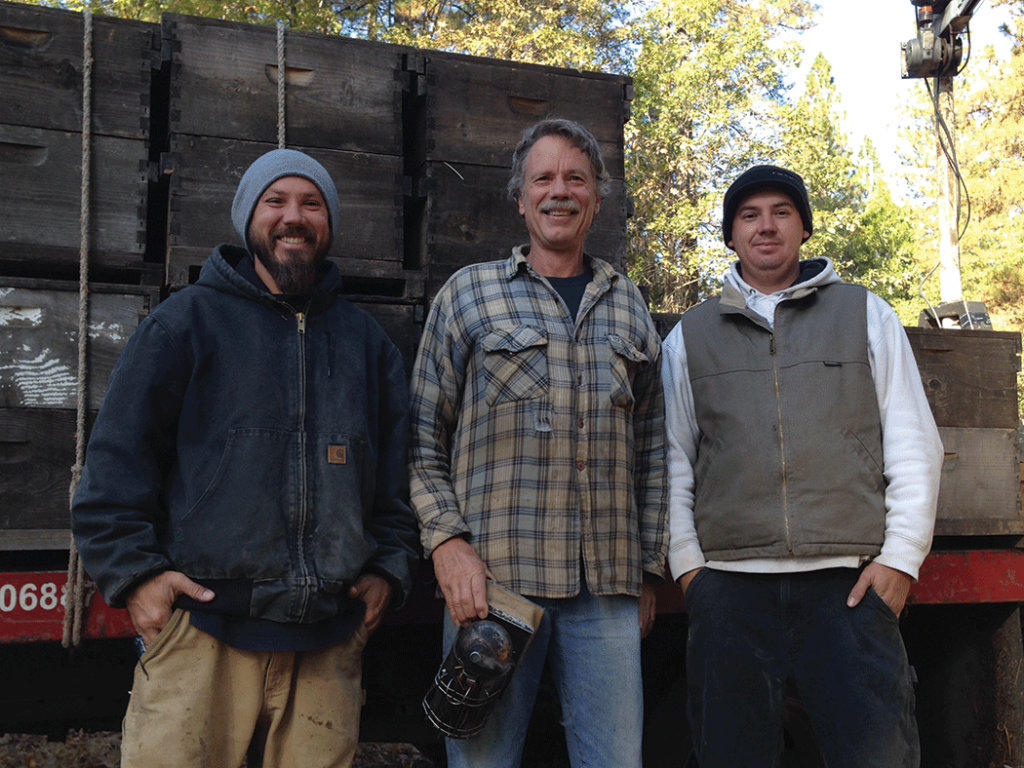 SCIENTIFICBEEKEEPING | Bee Culture