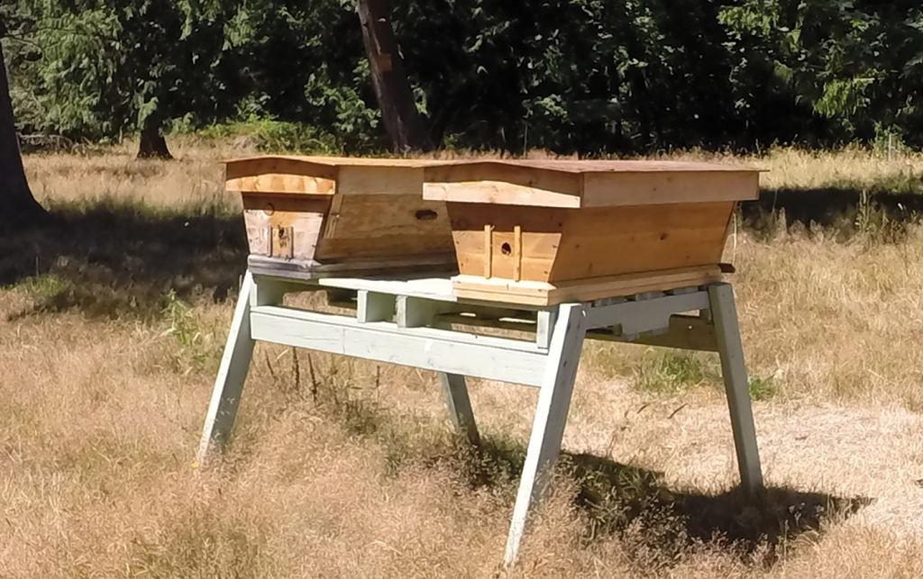 A Multi-Style Hive Apiary | Bee Culture