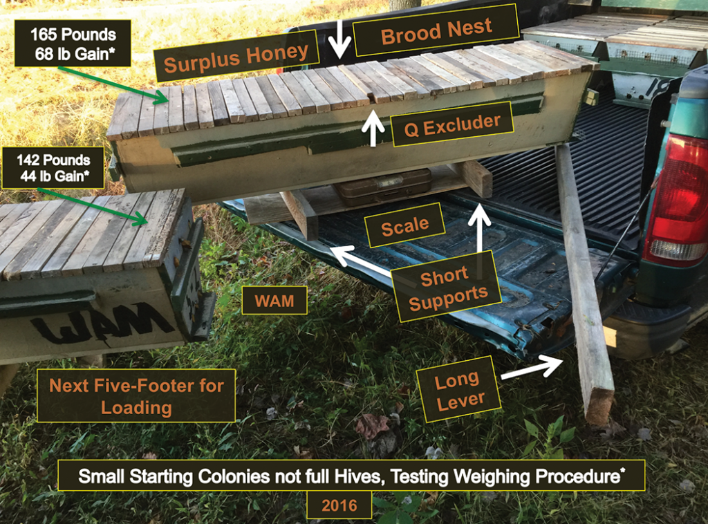 Honey By The Ton From Top Bar Hives | Bee Culture