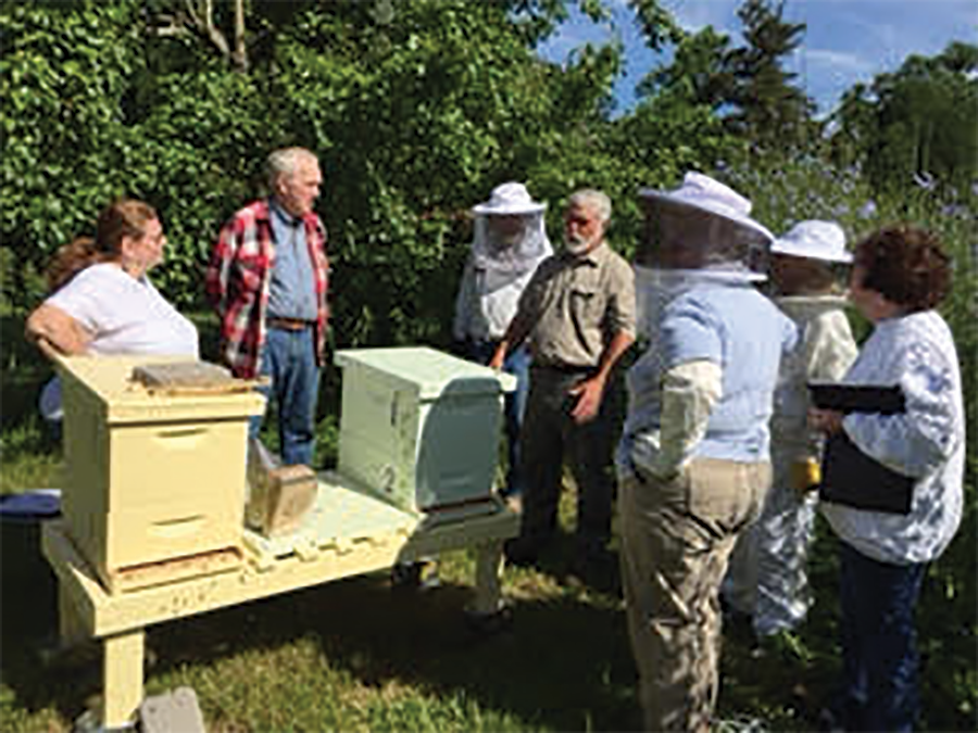The Trails and Tribulations of a New Delaware Bee Club | Bee Culture