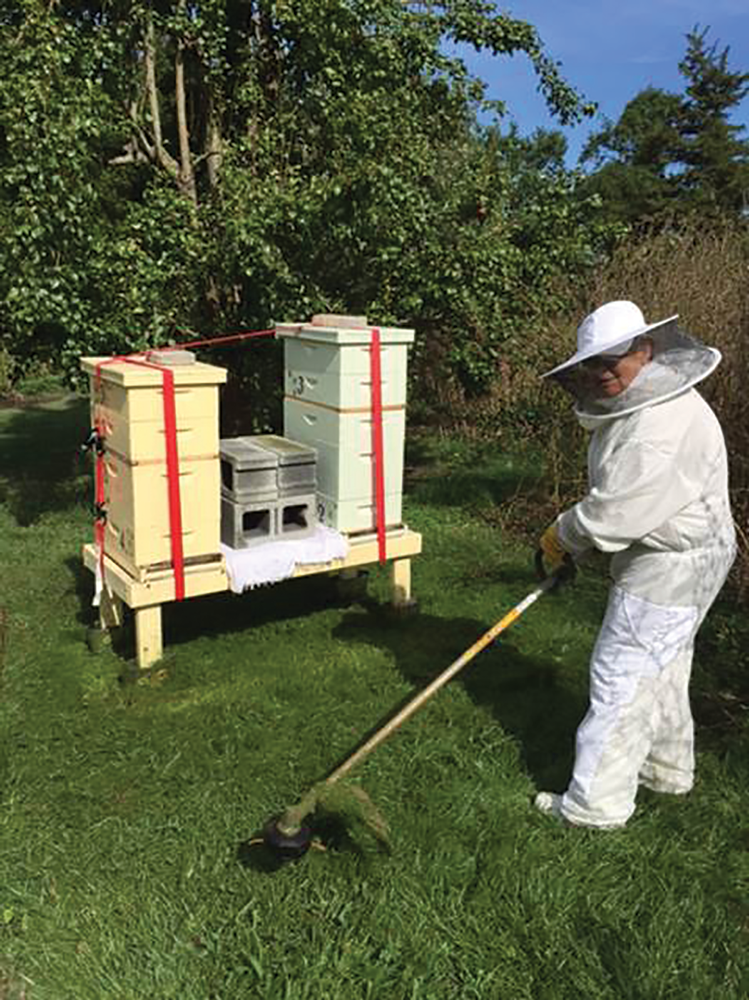 The Trails and Tribulations of a New Delaware Bee Club | Bee Culture