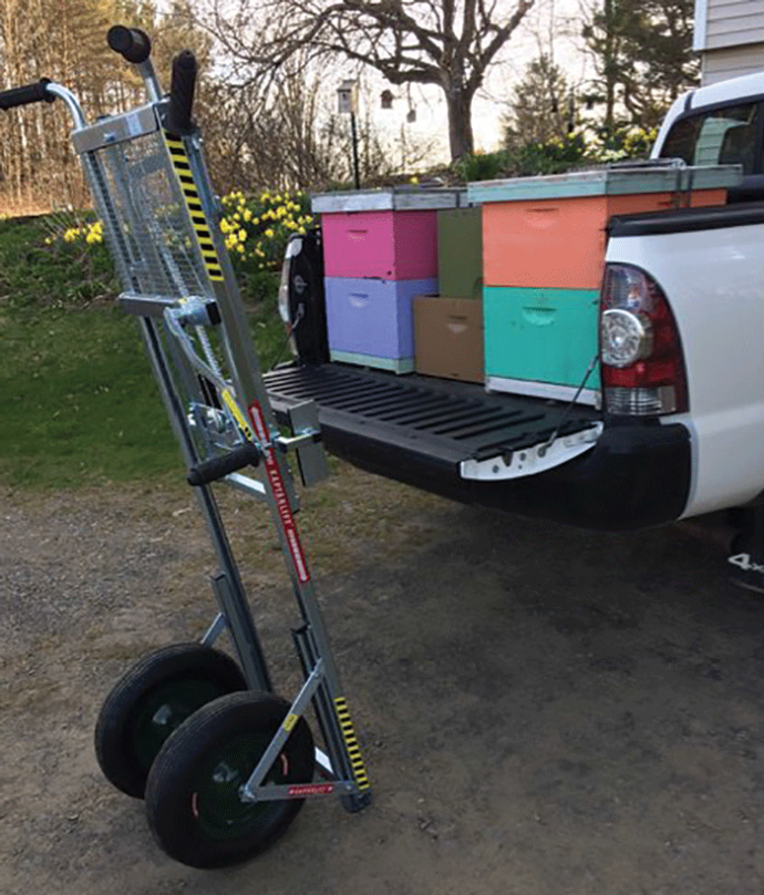 MAKING INCREASE | Bee Culture