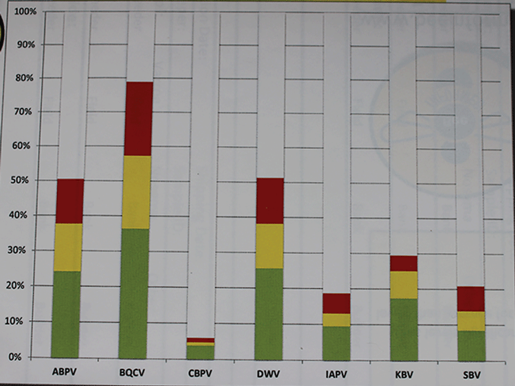 Chronic Bee Paralysis Virus (CBPV) | Bee Culture