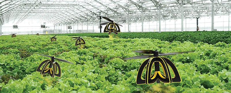 Solution to the Bee Problem? | Bee Culture