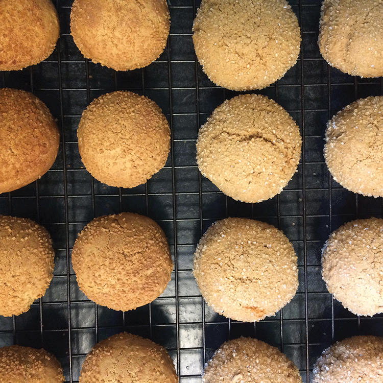 Honey Jumbles | Bee Culture