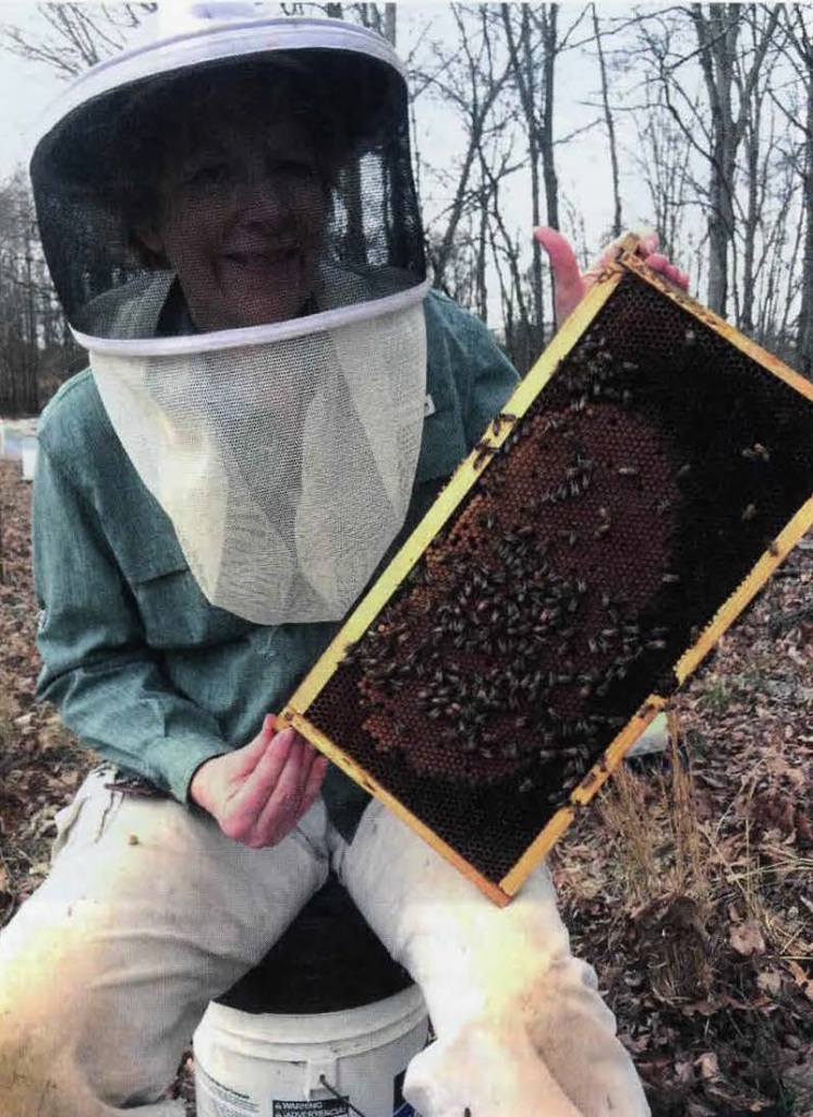 Fall Inspection for the Southeast | Bee Culture