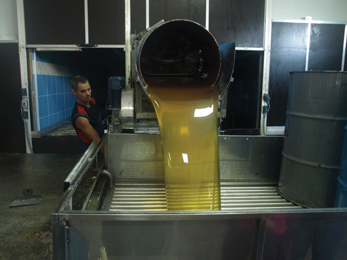 Ukraine Honey Exports | Bee Culture