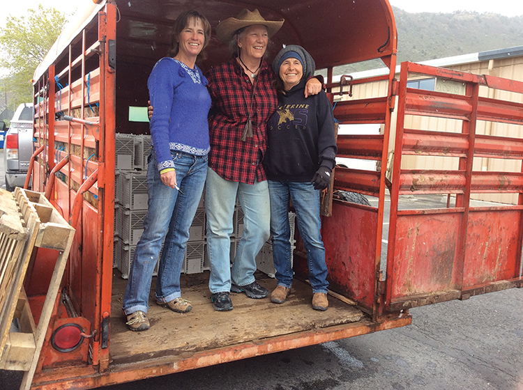 Bring Those Packages Home! | Bee Culture