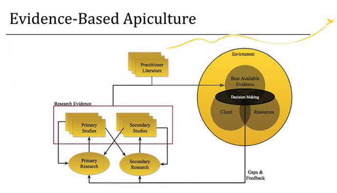 Peering Into The Future A Path To The Genius Hive | Bee Culture