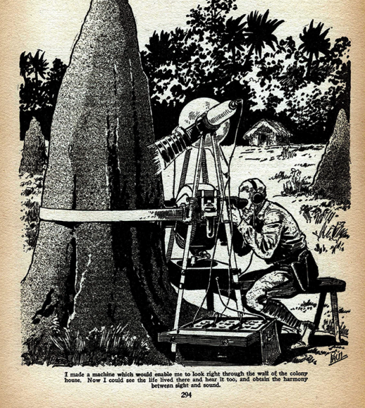 The Hive Mind | Bee Culture