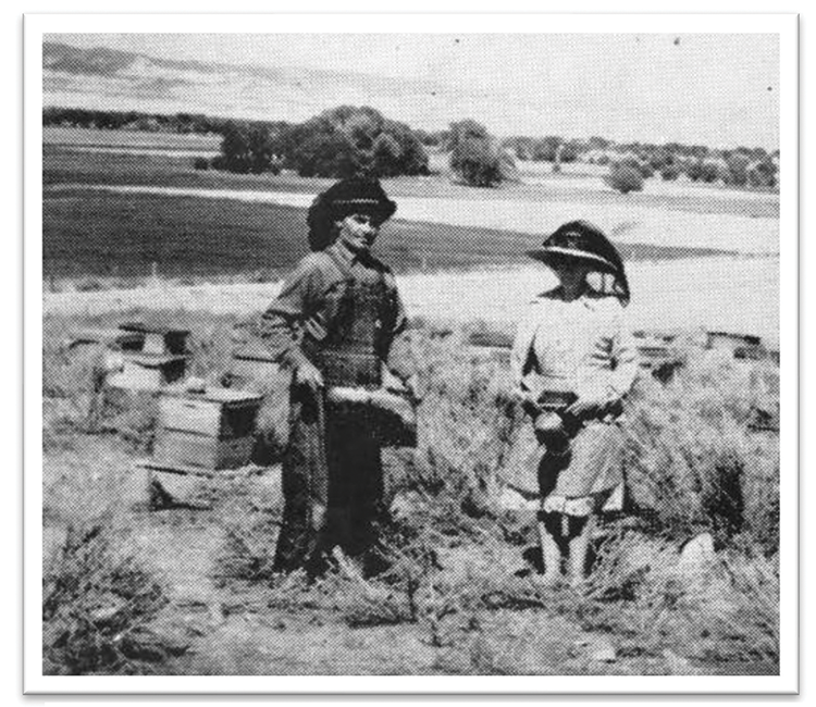 eliza jane donavan Young Female Beekeeper In The 1870s | Bee Culture