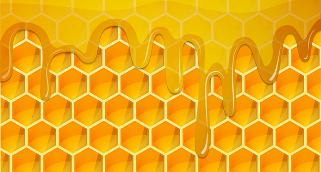 Honey Bee Comb Wallpaper