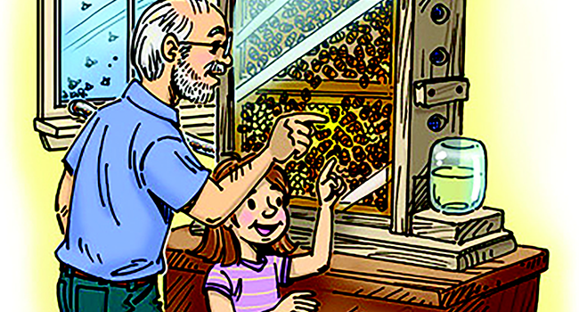 OBSERVATION HIVES | Bee Culture