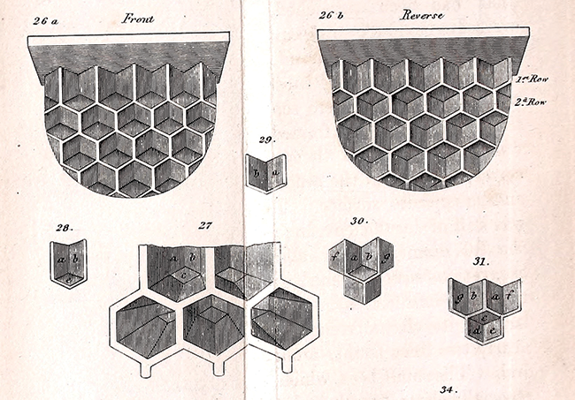 Honeycomb | Bee Culture