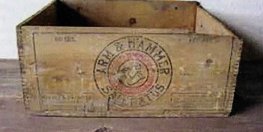 The Story of A.I. Root: Beginning Bees | Bee Culture