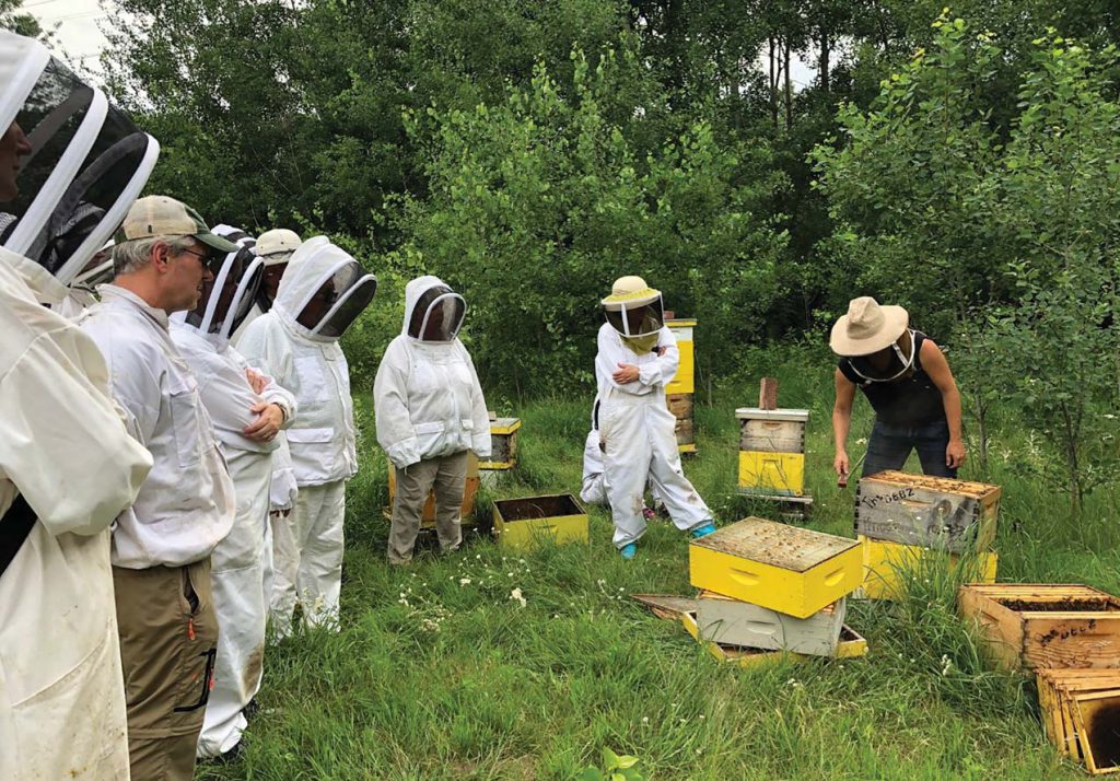 SUPPORT YOUR COMMUNITY SUSTAINABLE BEEKEEPING, PART 3 | Bee Culture