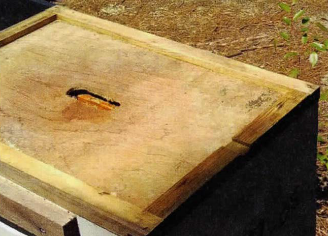 Hive Equipment | Bee Culture