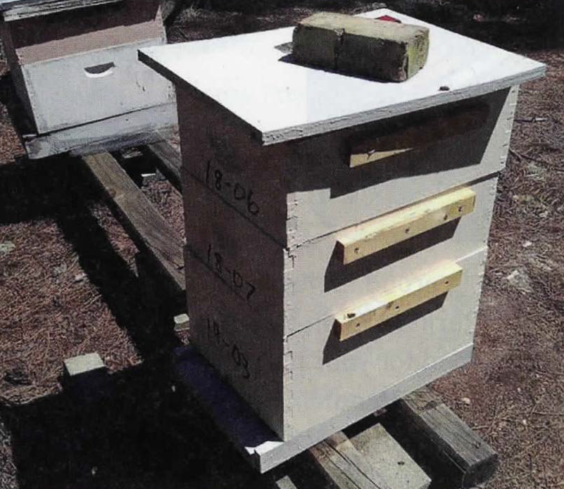 Hive Equipment | Bee Culture