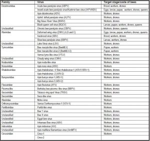 Bee Keepers’ Guide To Honey Bee Viruses | Bee Culture