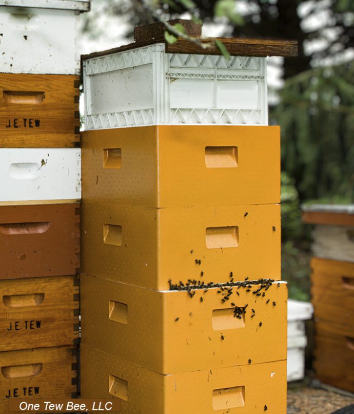Honey Bee Husbandry in Plastic Hives | Bee Culture