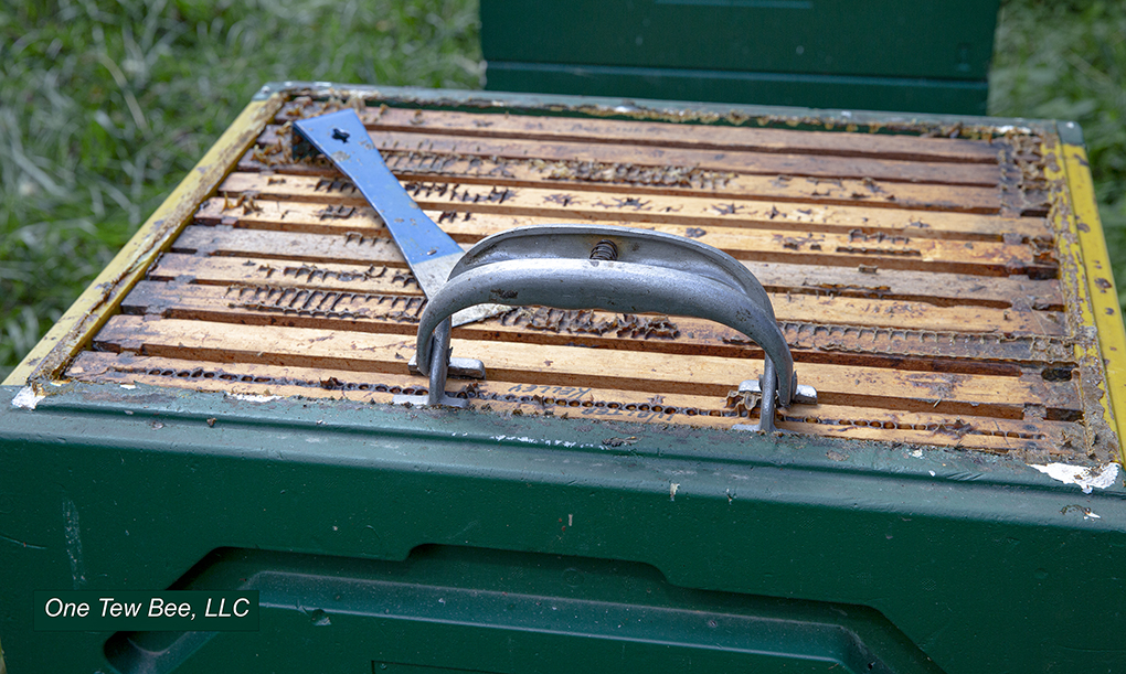 Honey Bee Husbandry in Plastic Hives | Bee Culture