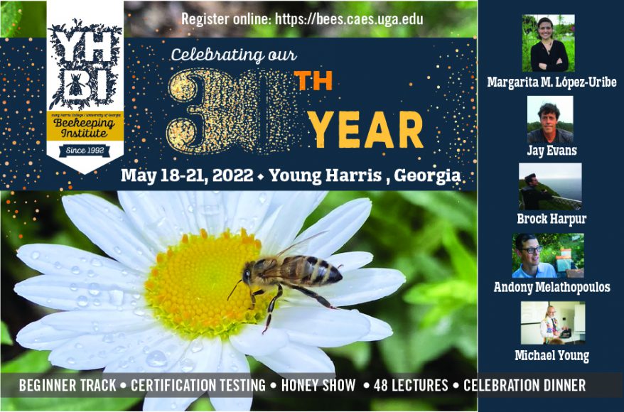 Bee Venom and the Chemistry of OUCH! | Bee Culture