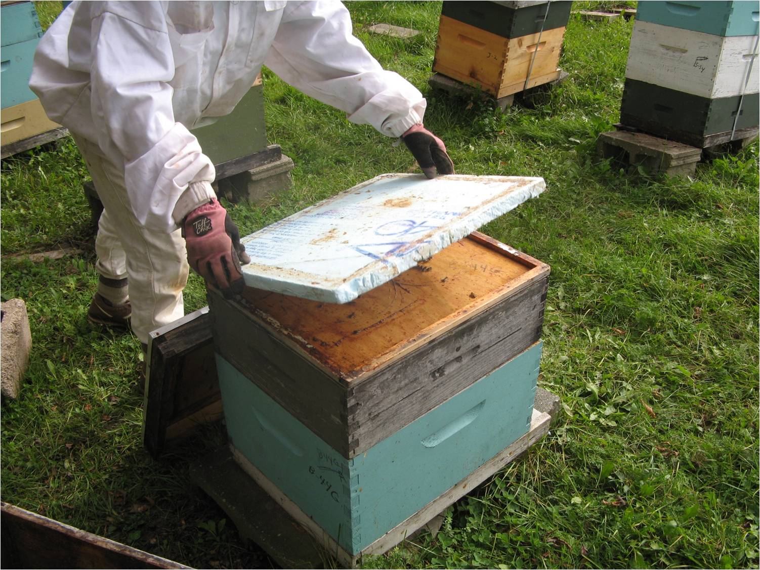 To Insulate or Not To Insulate | Bee Culture