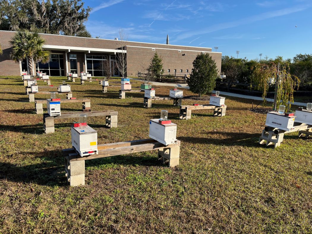 Research on Honey Bees | Bee Culture