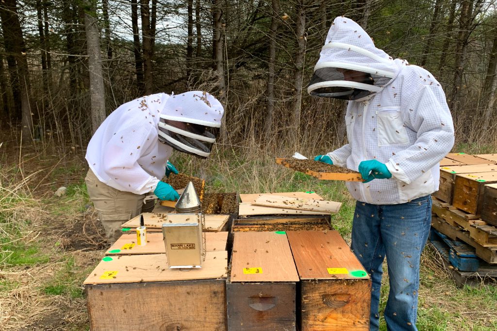 Bee Vet | Bee Culture