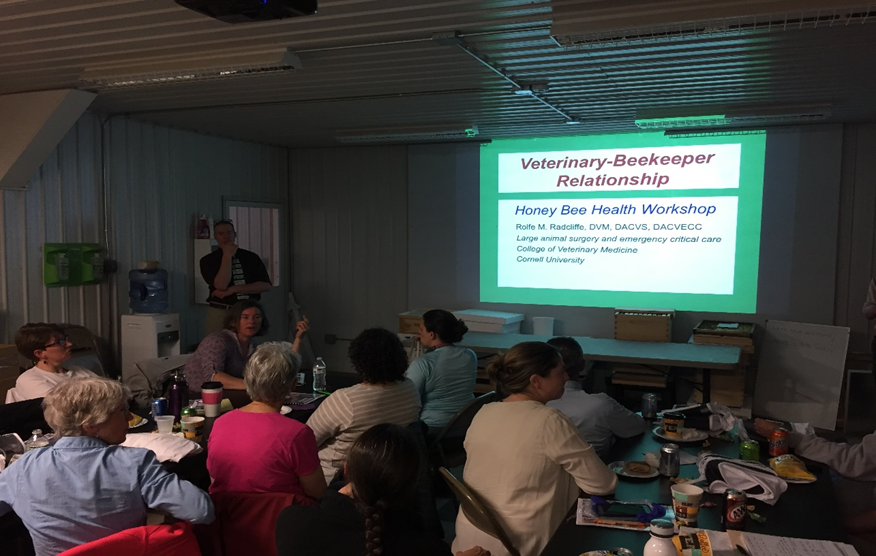 Bee Vet | Bee Culture