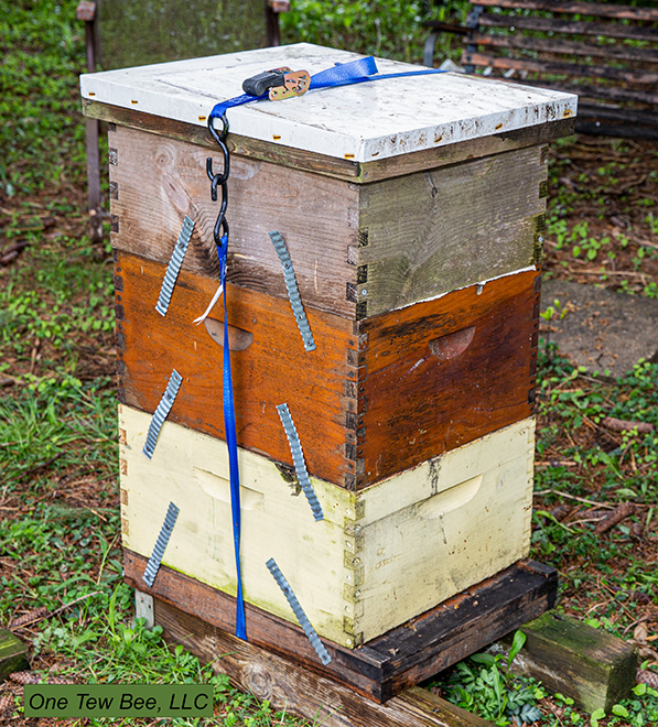 A Few Unique Beekeeping Tools | Bee Culture
