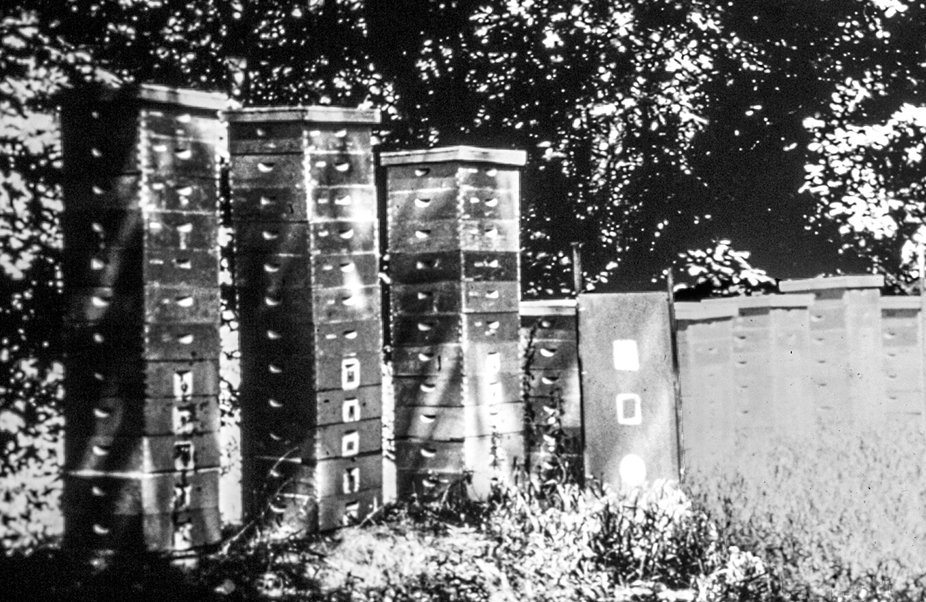 The Classic System of Two-Queen Colony Honey Production | Bee Culture