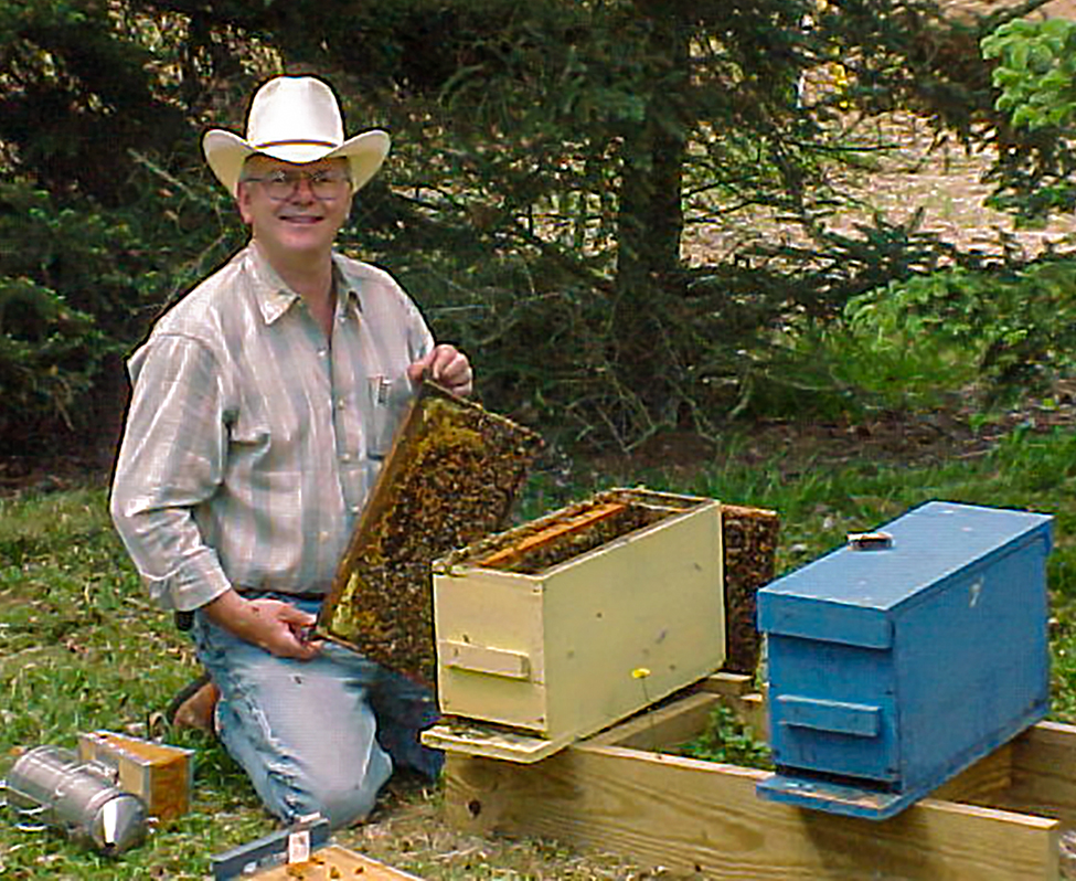 Buying and Establishing Bee Colony Splits | Bee Culture