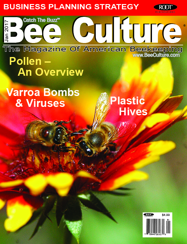Back Issues 2015-2021 | Bee Culture
